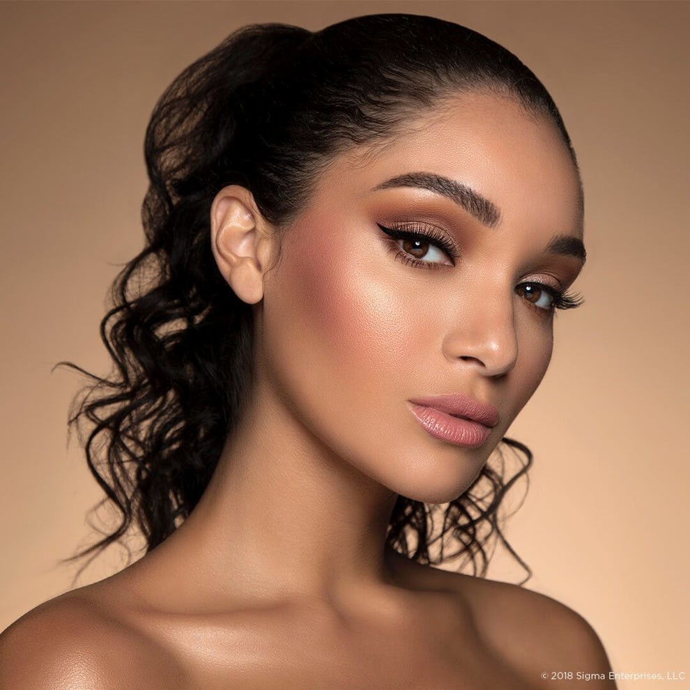 Sigma Beauty Blush Cheek Palette 6-Pan Palette – ADDROS.COM